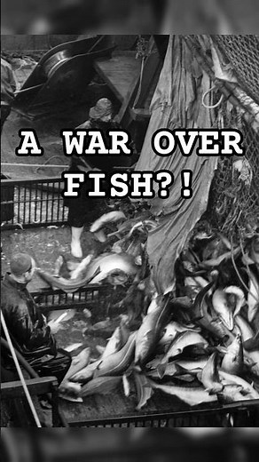 The Strangest Naval War in History #history #shorts