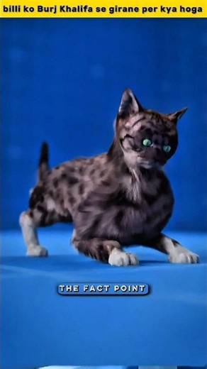 बिल्ली हमेशा पैरों पर क्यों गिरती है? वैज्ञानिक कारण | Cat Science🔥😯