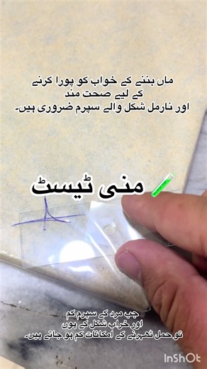 Understanding Semen Analysis for Male Fertility