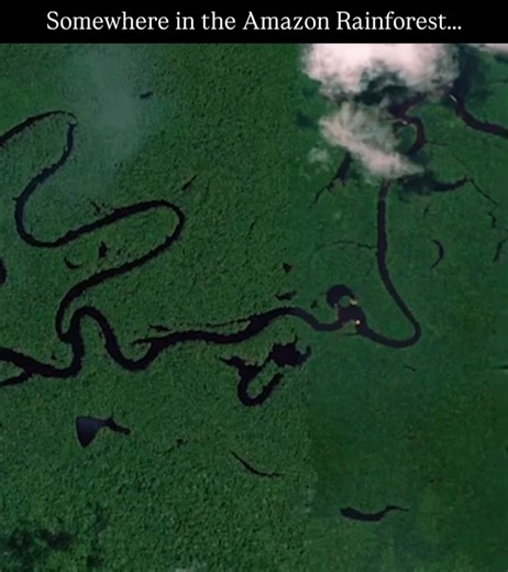 How big is the Amazon rainforest really? At 5.5 million square Kms, it's hard to imagine the massive scale. No wonder it's called the lungs of the Earth. 🌴 Come along to our webinar this Friday (5th Sep) to learn about the threats facing the Amazon, and what we can do to protect it. RSVP here: http://act.gp/4g715BO #natureisawesome | Greenpeace UK