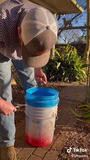 Lyle Guidry on TikTok