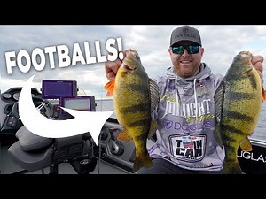 Spring Perch Fishing Tips
