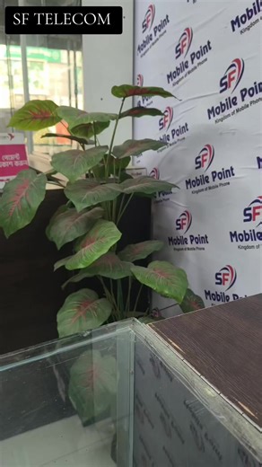 Oneplus Nord CE 4,Grab your deal💣 #Oneplus #budgetfriendly #offerprice #sale #Mobile