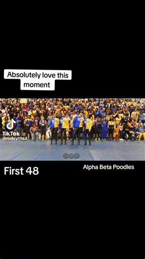 Meadowbrook Middle School on Instagram: "💛✨ Celebrating Sigma Gamma Rho Sorority, Inc. ✨💛 This Black History Month, we honor Sigma Gamma Rho Sorority, founded on November 12, 1922, at Butler University by seven visionary women: Bessie M. Dowd, Founder of the First Chapter; and her six sorors. With a mission focused on sisterhood, service, and education, Sigma Gamma Rho has been dedicated to uplifting the African American community through impactful programs in education, health awareness, and 