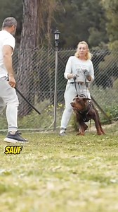 10 métiers interdits pour un musulman ! - #Islam #Rappels #Coran #HistoireIslam #HistoireIslamique #IslamStories #AlQuran #pourtoi | Allahu Akbar