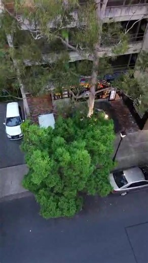 Drip Splash Store Opening in Perth: Join Us for Fun!