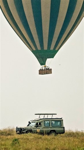 27K views · 169 reactions | How do you return to normal lifeafter seeing life in its rawest, most beautiful form in the middle of the wild,present, alive, full of freedom? We made this collection to hold on to that moment. 8.29 | RICHBOYZ | Facebook