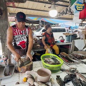 1.1M views · 12K reactions | பிலிப்பைன்ஸ் உள்ளூர் சந்தையில் ஆடு,மாடு, பன்றி, கோழி எல்லாமே இருக்கு, Philippines Local Market-ல் என்னவெல்லாம் இருக்கு பாருங்க!!! | Village Database | Facebook