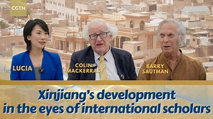 Xinjiang's development in the eyes of international scholars
