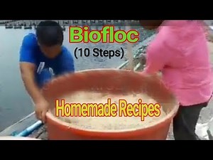 Step by Step Biofloc Preparation (10 steps)