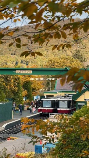 29K views · 413 reactions | Our 2025 season is almost over, but there's still time to visit. Come and enjoy a dose of fresh mountain air, dramatic autumn views, with zero hiking required!  This week we are heading to the summit (weather-depending), for half term we are operating a 2-hour round trip to Rocky Valley from £27 per person. Get tickets here: https://snowdonrailway.co.uk/ | Snowdon Mountain Railway / Rheilffordd yr Wyddfa | Facebook