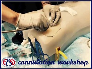 #ECMO Cannulation #simulation