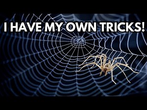 How do spiders avoid getting tangled in their own webs?