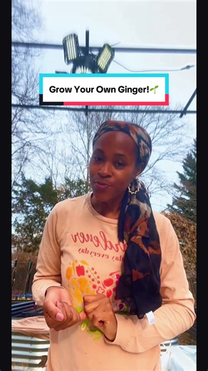 #livehighlights #tiktoklive Get in this online class! It’s not too late. Visit www.growflo19.com to lock in your spot today! Let’s grow together!!🌱🫶🏾 #growinggingerinpots #BeginnerGardener #GrowYourOwn