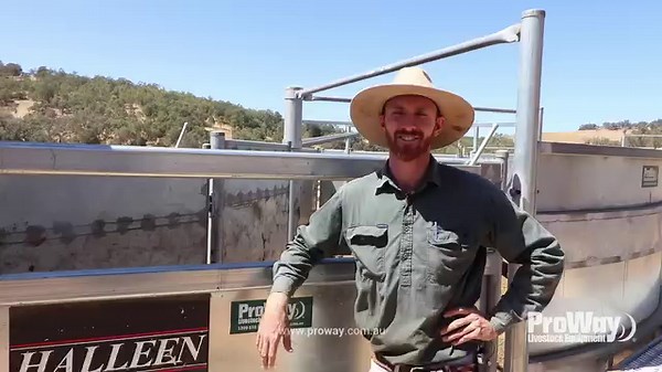 78 reactions · 3 comments |  PROWAY PROJECTS Halleen Australasian...