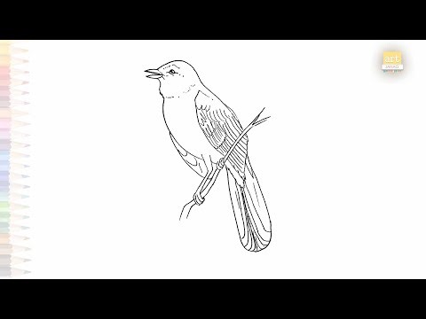 Mockingbird easy drawing | Birds outline sketches| How to draw A Mockingbird step by step #artjanag