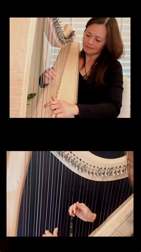 Schubert’s “Serenade” Let’s take a little break from the Christmas tunes… This piece by Franz Schubert has always been one of my favorites to play on the piano — so I arranged it for the lever harp, and it works beautifully! 😀 “Serenade” is included in the book Romance Without Words: 20 Masterworks for Lever Harp — a collection of timeless classical pieces carefully arranged for harp. 📖 Available here: Amazon (paperback): https://a.co/d/5zwwh3X PDF: https://www.orangecountyharp.com/sheet-music