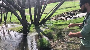 Bank Basics: Water runoff a good bet for bank fishing - 2019 Tenkiller - Bassmaster BassCam