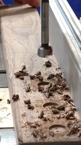 Boundary Fog Furniture on Reels