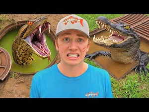 Every Sewer Monster i Found in 2025…