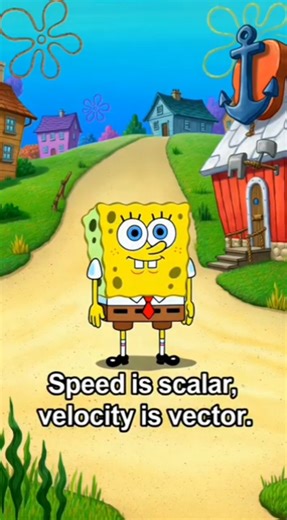 Speed vs Velocity Explained | Scalar vs Vector Physics Definition #funnyshorts #funnyscience