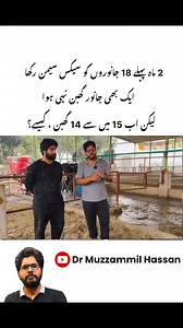 64K views · 1.4K reactions | #MilkMatters #FarmingCommunity #Dairyfarming #Farm #experiment #ClimateAction #Friesian #Abortion #Vet #Semen #FarmManagment #FarmManagment | Dairy Farming with Dr-Muzzammil | Facebook