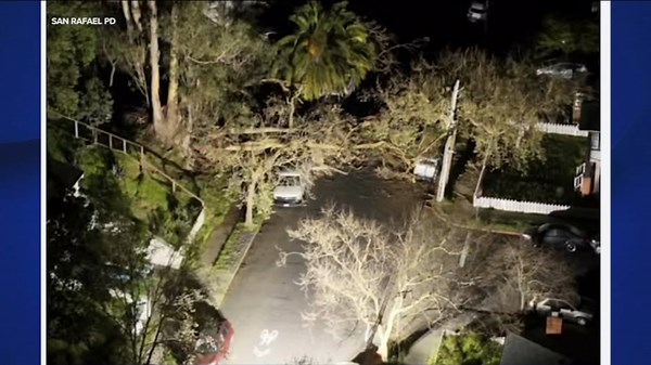 Large tree down knocks out power to hundreds in San Rafael neighborhood