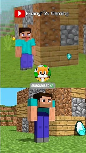 Minecraft In A Nutshell Animation By pamtri