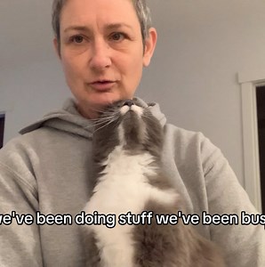 Exploring the New Editing Functions on this App