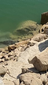 Big Carp bite . #carp #carponthefly #carpflyfishing #carpfishing #flyfishing #pescaconmosca #carpa #fishing #fishingislife #pescadeportiva #bigcarp #fishingphotography | David Tejedor Royo