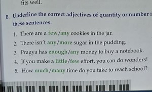 fits well.B. Underline the correct adjectives of quantity or n... | Filo
