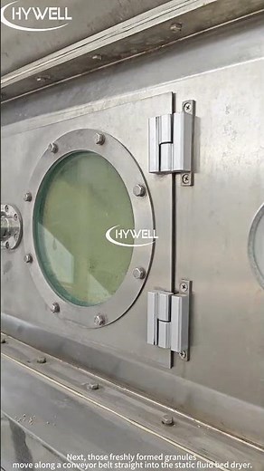 Wet Granules to Dry: Swing Granulator & Fluid Bed Dryer in Action!