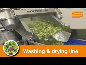 Vegetable washing and drying line - Sormac