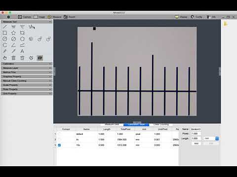 Microscope Camera Measurement Calibration in Mosaic