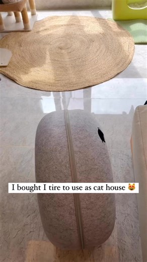 134K views · 532 reactions | Step Inside the Luxurious World of Cat Basket House. ⏳ Hurry! Link is in the comments before it’s gone! | Beautiful cats | Facebook