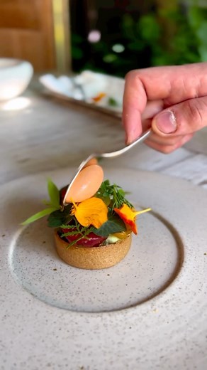 Olive tuile, fresh goats cheese, eggplant caviar, basil emulsion, marinated tomato, herbs and flowers from the garden, tomato sorbet. By Head-Chefs @benoit_dewitte & @bernard_dewitte 📹 By @benoit_dewitte 📍Restaurant: Benoit and Bernard Dewitte ⭐️ Do you like fine dining !!! Follow Me @culinaireinspiratie •••••••••••••••••••••••••••••• 📷 All rights and credits reserved to the respective owner(s) #culinaireinspiratie #benoitenbernarddewitte #michelinstar #flandre #freshfood #gourmet #chefs #gas