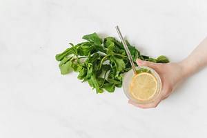 Lemonade Renters Insurance Deductible Guide: Save on Claims