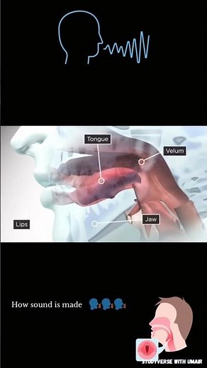 You Won’t Believe How Sound is Produced!🤯🗣️#shorts #shortvideo #biology