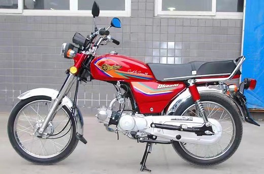 [Hot Item] China Popular Lifo Xy49-12 49cc Motorbike Motorcycle-for-Mozambique