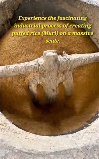 Traditional Large-Scale Puffed Rice Making Process | Industrial Muri Production