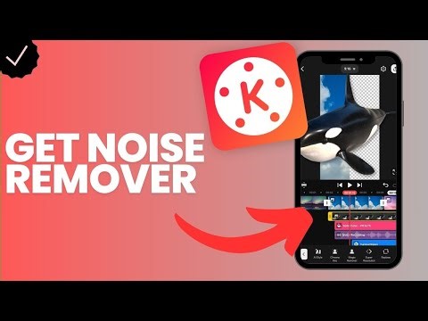 How to get a noise remover for a sound layer in Kinemaster?