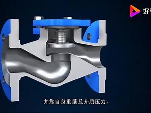 止回阀工作原理