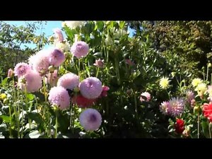 Butchart Gardens, B.C. Canada - 1 hour 10 minuites run time