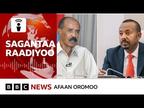 Wal gaareffannaan Itoophiyaa fi Ertiraa garamitti adeemaa jira? | BBC News Afaan Oromoo