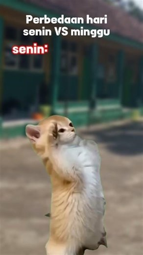 sangatlah cepat🗿👍 #shorts