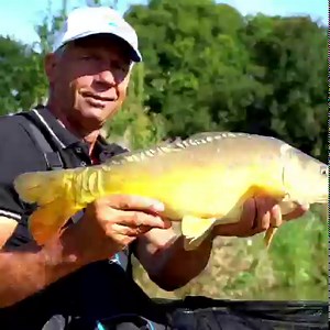 1K views · 18 reactions | De beste serie feederhengels ooit van Preston Innovations! | Preston Innovations | Facebook