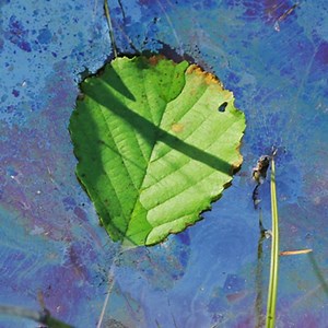 What can Dark Waters teach companies about ethics? | News | Warwick Business School