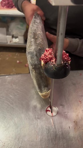 How to Use a Meat Grinder for Processing Fish