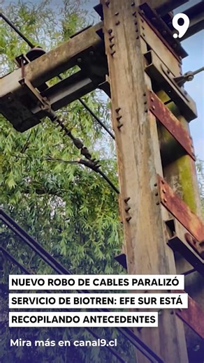 Canal 9 Biobío TV on Instagram: "Fueron alrededor de 4.000 personas las que se vieron afectadas por la paralización de los servicios del Biotren en el Gran Concepción. Esta vez el corte, que duró más de cuatro horas, afectó la línea 1 que conecta Talcahuano con Hualqui y parte de la línea 2, quedando en funcionamiento únicamente las estaciones entre Coronel y San Pedro de la Paz. Este ilícito, que no es un hecho aislado, tuvo lugar en el Cerro Chepe, en la comuna de Concepción. De acuerdo a lo i
