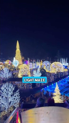 This place is insane!🎄🎄🎄￼